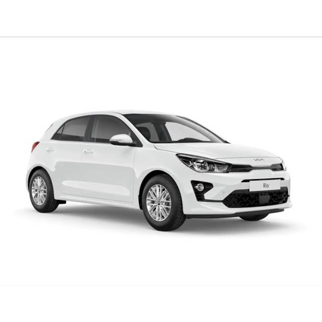Kia Rio YB 1,2 DPI Exclusive | Operativní leasing | Auto Horejsek